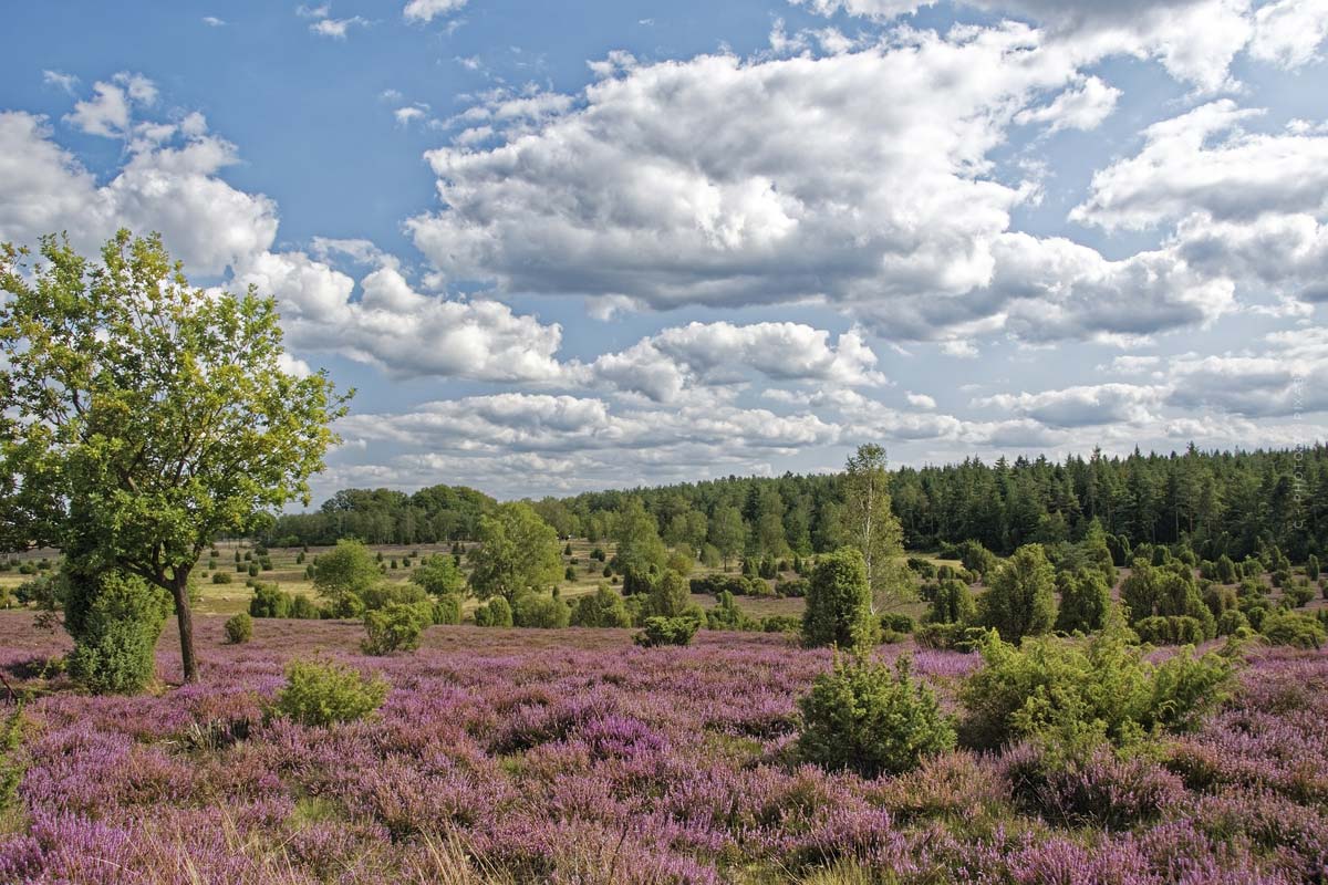 Camping in Niedersachsen: Nordsee, Norderney, Cuxhaven, Harz & Co ...