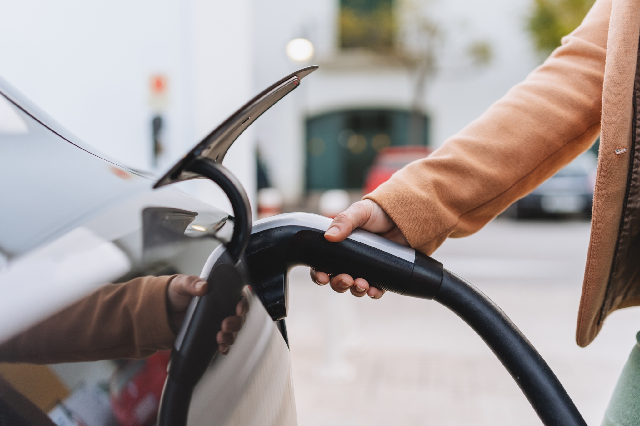 Sandbank (Definition): Erkennen, Nutzen & Vermeiden - CAMPWERK